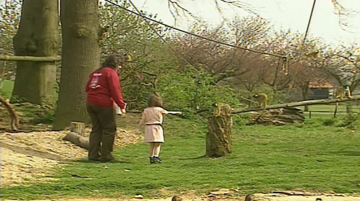 Feeding the Monkeys | Teletubbies Wiki | Fandom