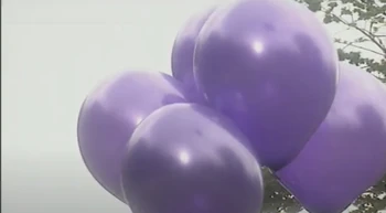 Colours - Purple | Teletubbies Wiki | Fandom
