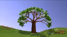 The Magic Tree | Teletubbies Wiki | Fandom