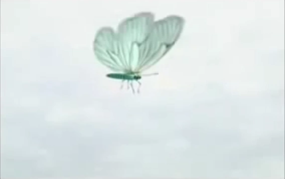 The Butterfly | Teletubbies Wiki | Fandom