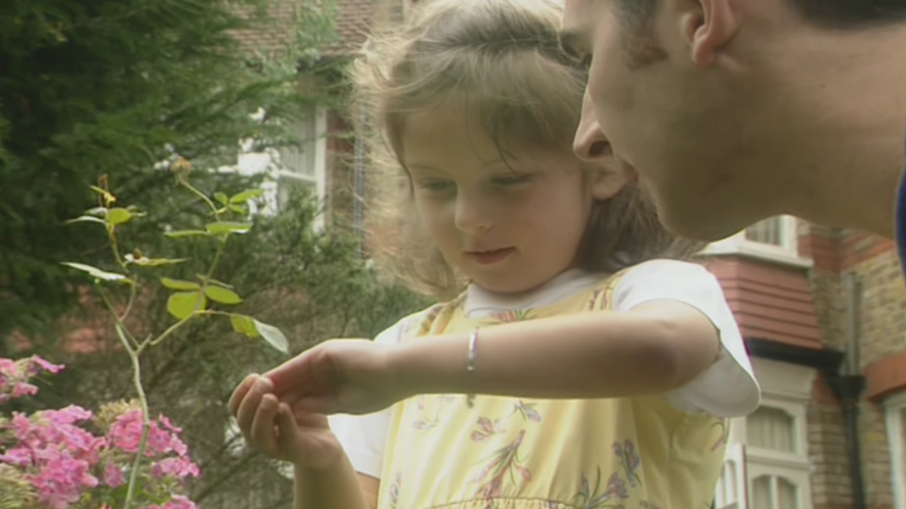 Ladybird | Teletubbies Wiki | Fandom