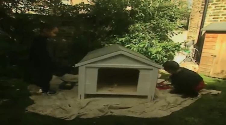 Dog Kennel | Teletubbies Wiki | Fandom