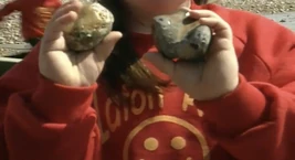 Pebbles | Teletubbies Wiki | Fandom