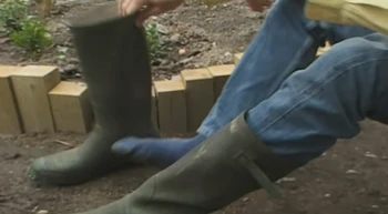 Boots | Teletubbies Wiki | Fandom