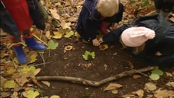 Leaves | Teletubbies Wiki | Fandom