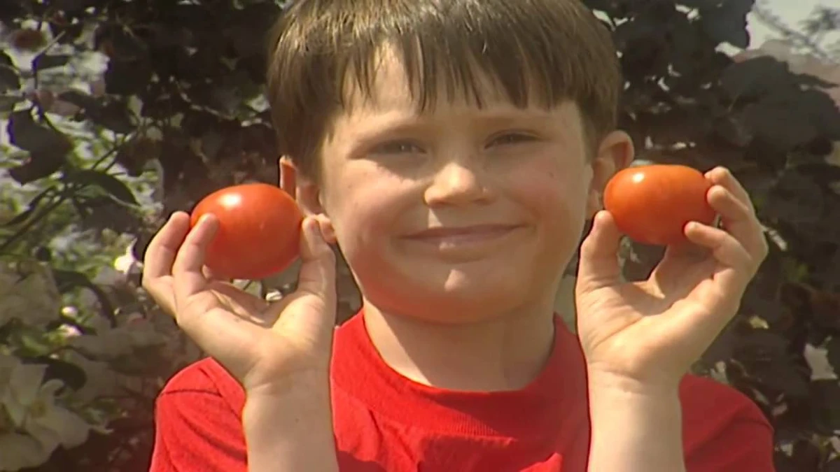 Colours - Red | Teletubbies Wiki | Fandom