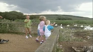 Swans | Teletubbies Wiki | Fandom