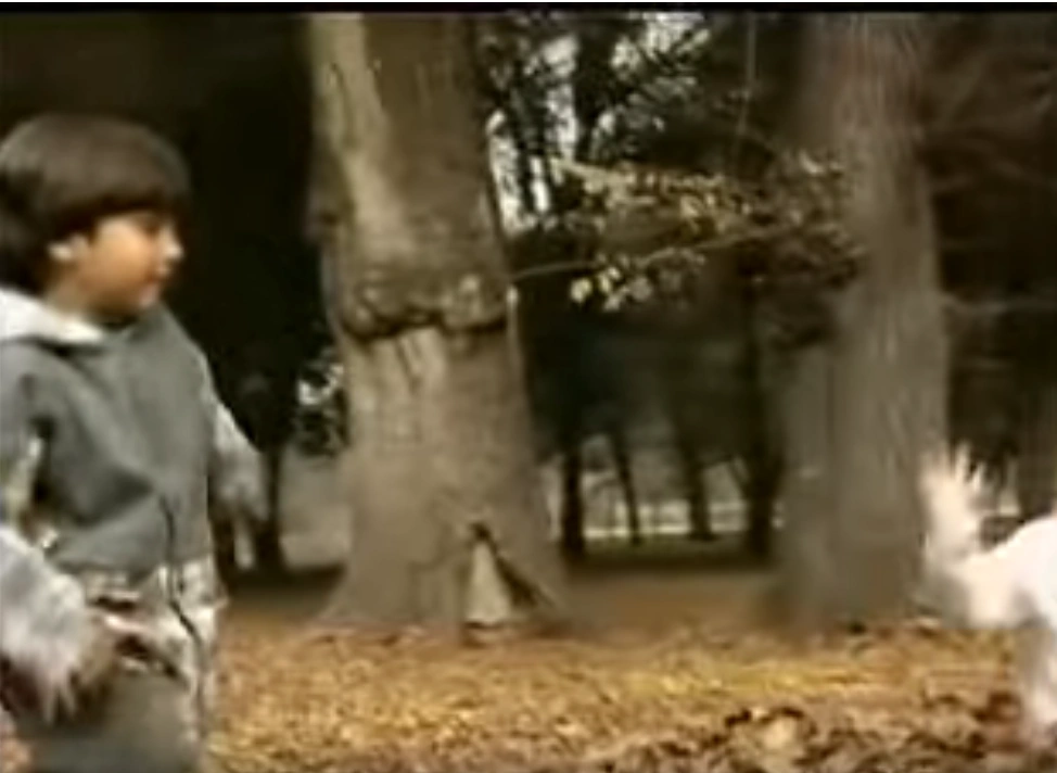 Autumn Leaves (Chile) | Teletubbies Wiki | Fandom