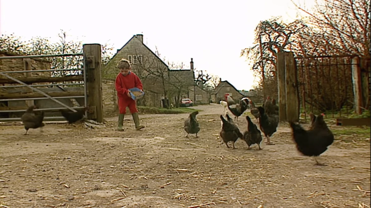 Feeding the Chickens | Teletubbies Wiki | Fandom