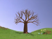 The Magic Tree | Teletubbies Wiki | Fandom