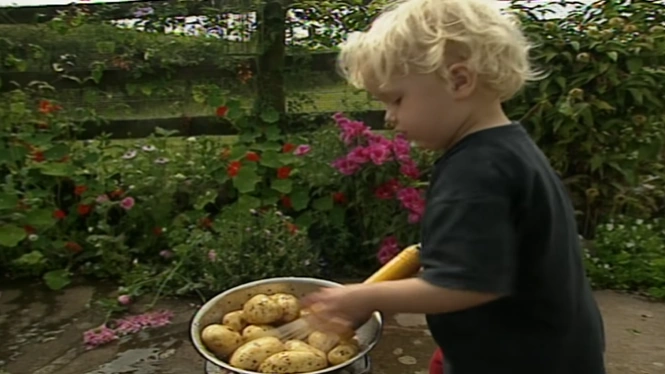Ned's Potatoes | Teletubbies Wiki | Fandom