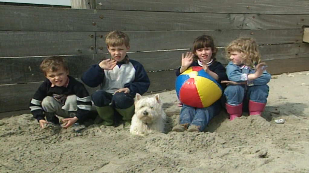 The Beach | Teletubbies Wiki | Fandom