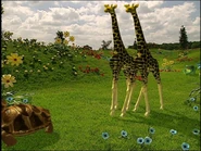 Numbers - 8 | Teletubbies Wiki | Fandom