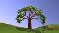The Magic Tree | Teletubbies Wiki | Fandom