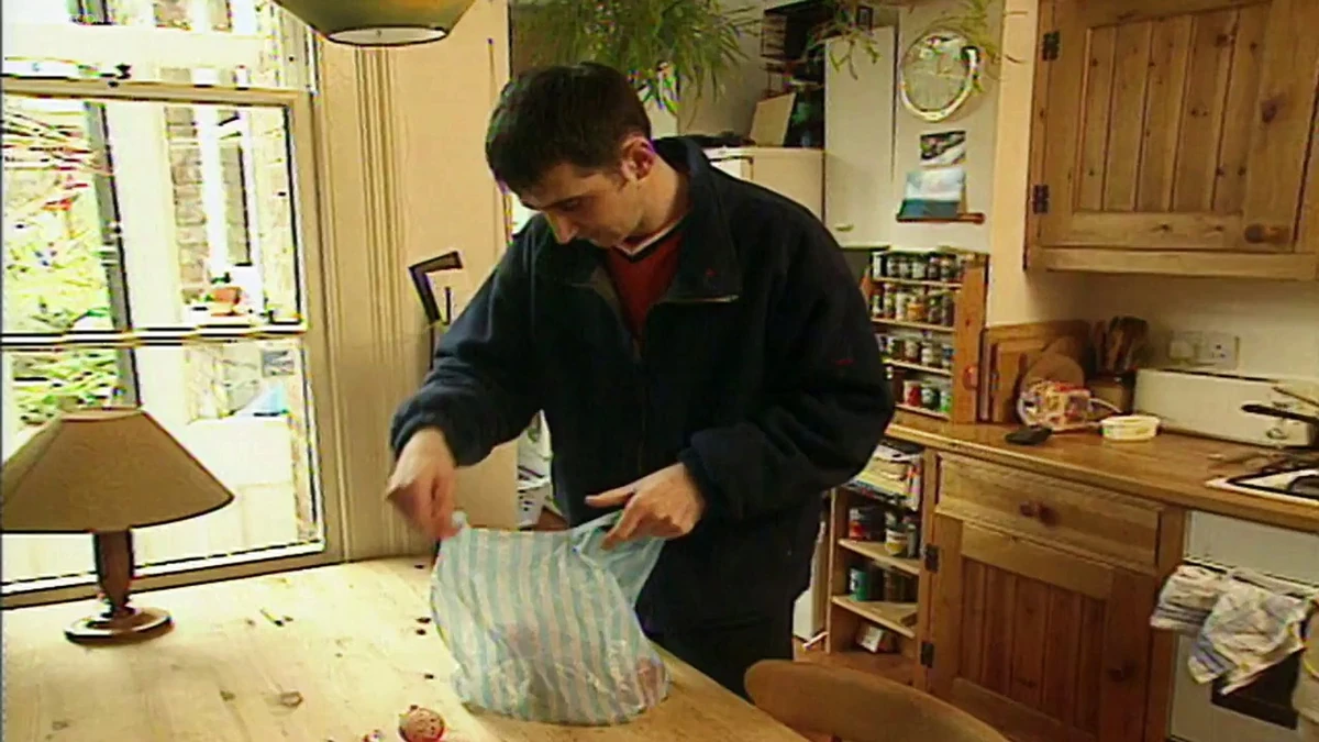 Urban Birds | Teletubbies Wiki | Fandom