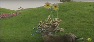 Rabbits | Teletubbies Wiki | Fandom