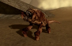 Uruku | The Tellus Sector Wiki | Fandom