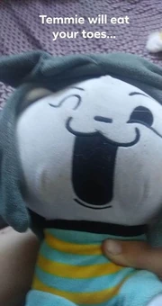 Temmie | Temmie Wikia | Fandom