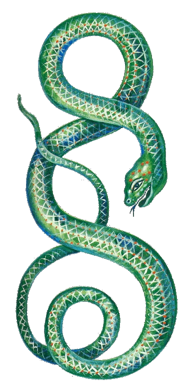 House Nuwa | Temple of Dune Wiki | Fandom