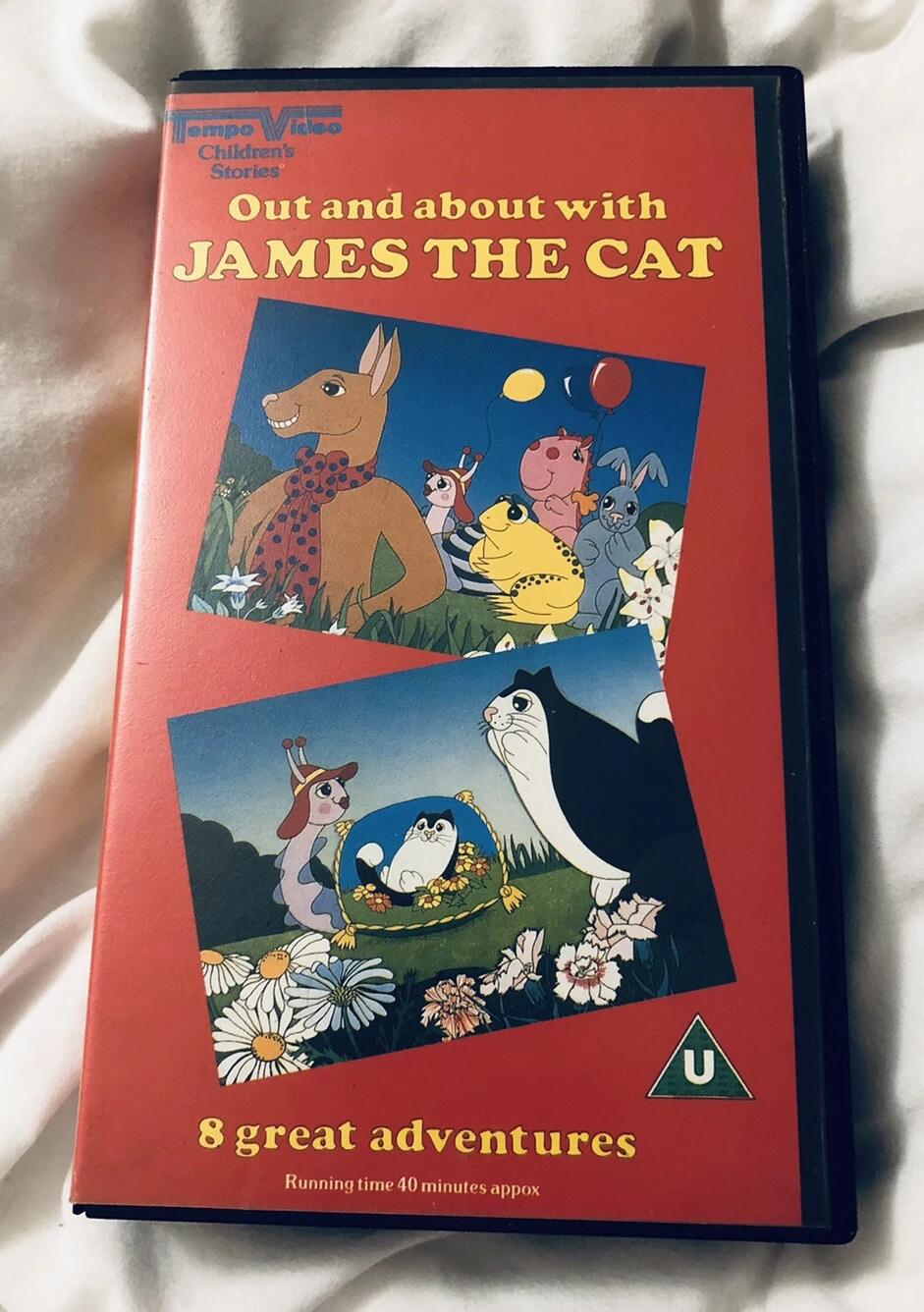 Out and About with James the Cat | Tempo Video Wiki | Fandom