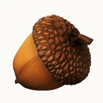 Acorn | Tempora: Harmony of Seasons Wiki | Fandom