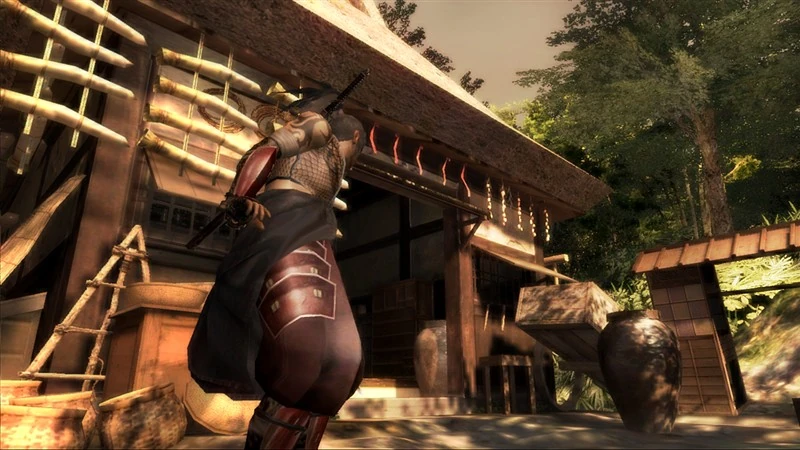 Azuma Village | Tenchu Wiki | Fandom
