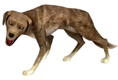 Dog | Tenchu Wiki | Fandom