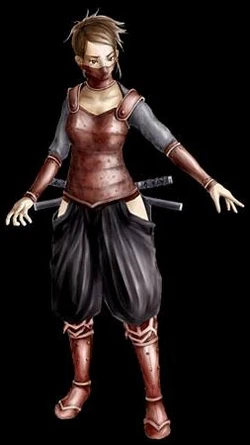 Tenchu Rikimaru Armor