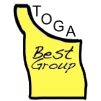 Gold TOGA Best Overall Group | Tengaged Outstanding Group Awards Wiki ...