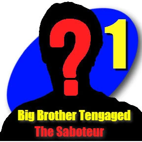 Big Brother Tengaged 1 | Tengaged Outstanding Group Awards Wiki | Fandom