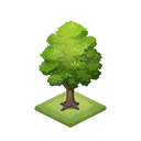 Camphor Tree | Tenirabi Wiki | Fandom