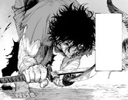 Miyamoto Musashi | Tenkaichi Wiki | Fandom