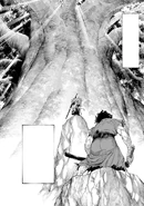 Miyamoto Musashi | Tenkaichi Wiki | Fandom