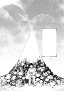 Miyamoto Musashi | Tenkaichi Wiki | Fandom