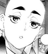 Hozoin Inshun | Tenkaichi Wiki | Fandom