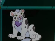 Ninjara | Tenko and the Guardians of the Magic Wiki | Fandom