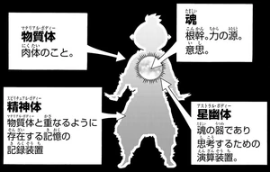 Body | Tensei Shitara Slime Datta Ken Wiki | Fandom