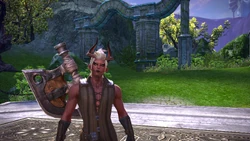 Elfo Gemelo Tera Castanic Castanics Tera Wiki