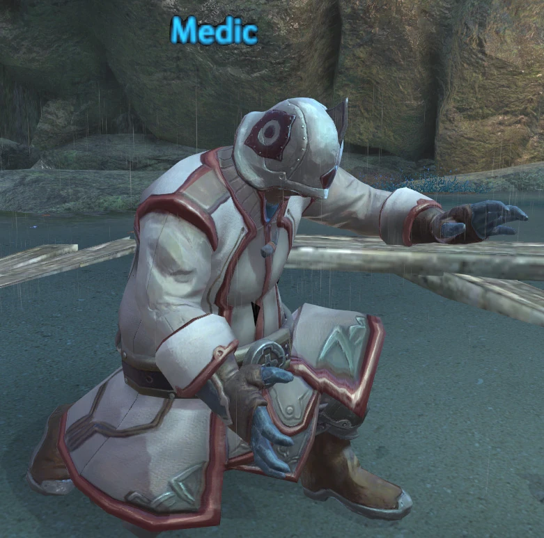 Medic | Seraphim's Tera Wiki | Fandom