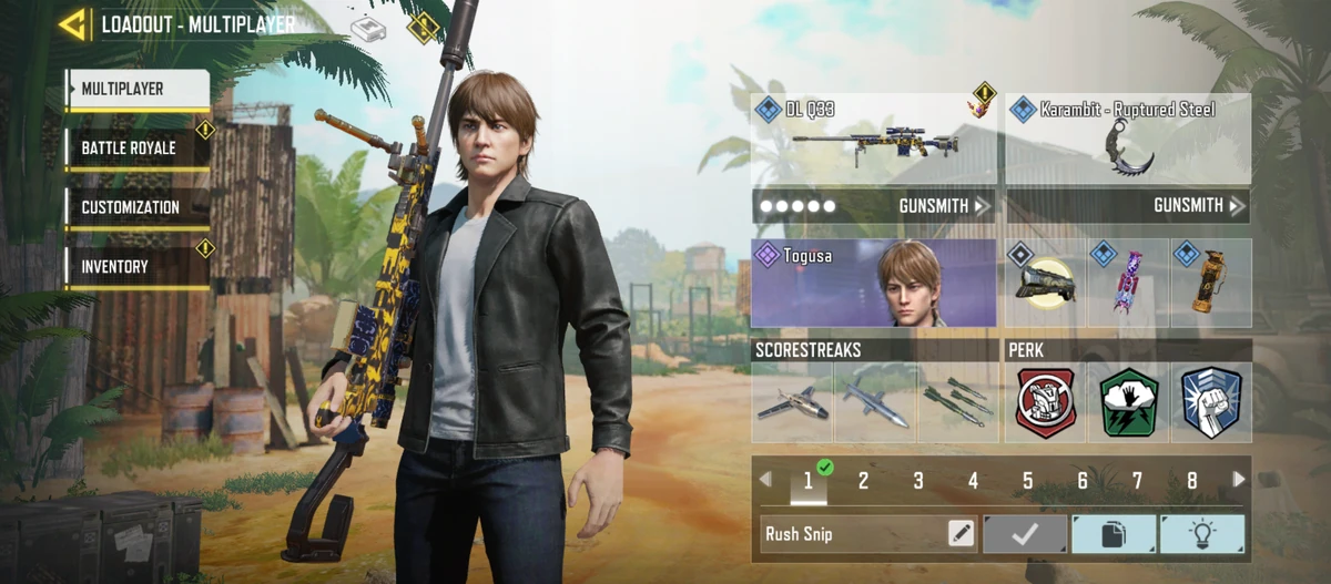 CODM Loadout | Terengineer Wiki | Fandom