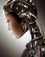 Endoskeleton | Terminator Wiki | Fandom