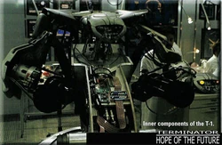 Terminator T 1