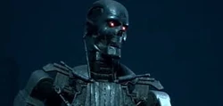 T 600 Terminator Weight