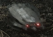 Silverfish | Terminator Wiki | Fandom