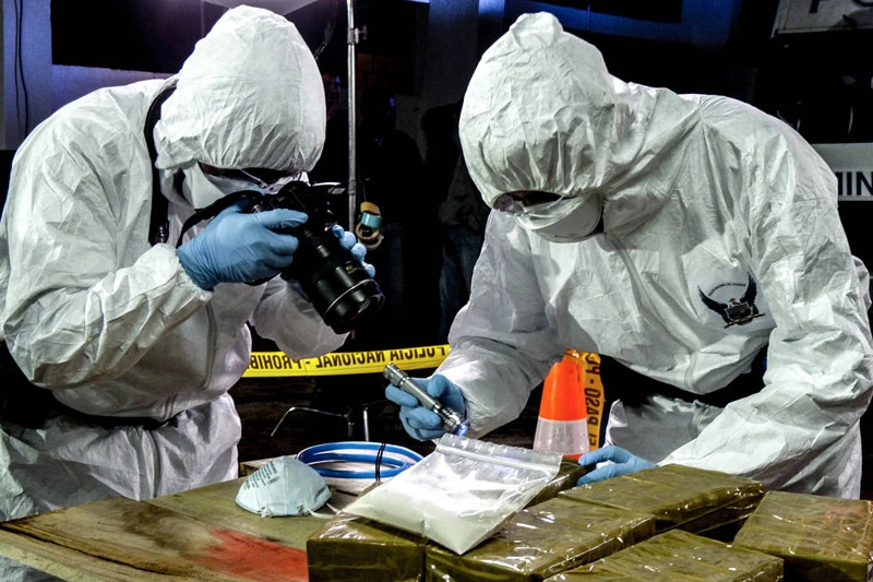 Perito | Terminologías de la carrera de Derecho Wiki | Fandom