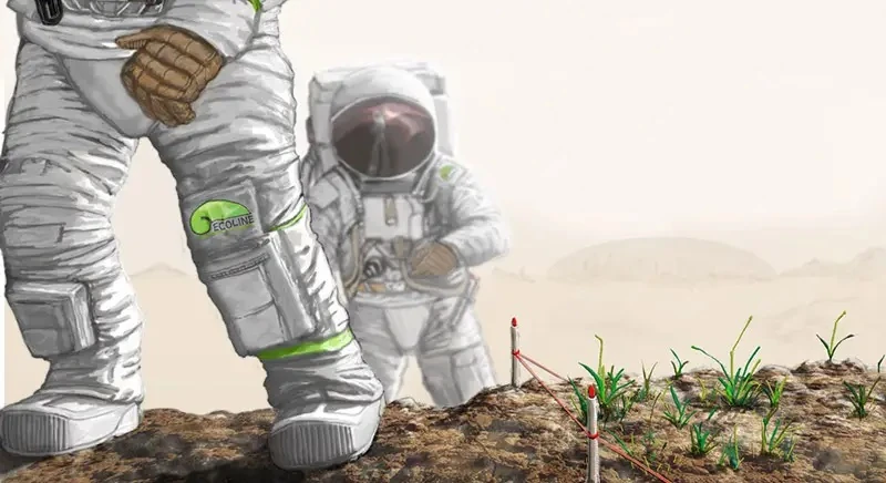 Grass | Terraforming Mars Wiki | Fandom