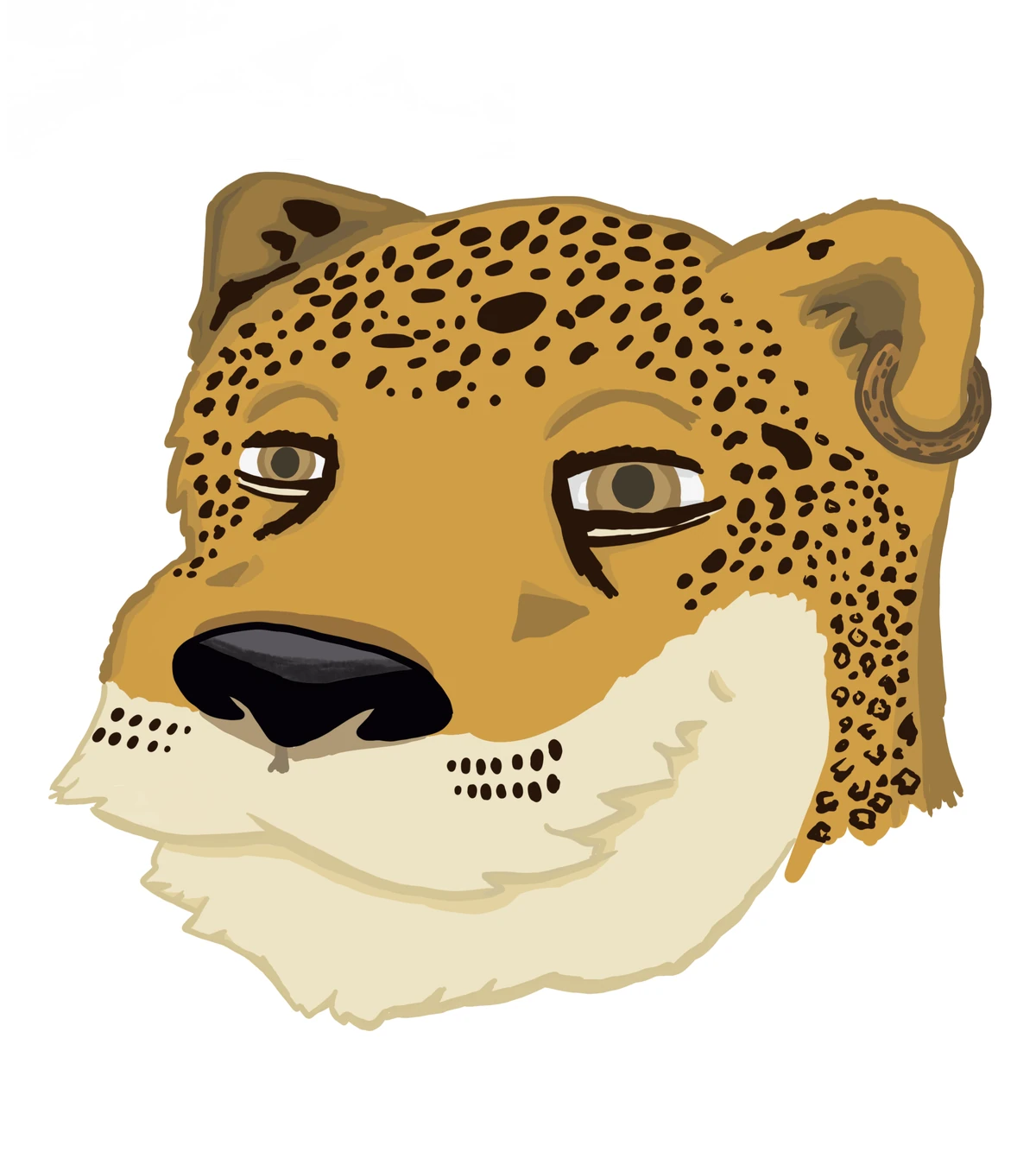 Tom William Iguazú | Terragon Wiki | Fandom