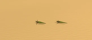 Ploon | Terrahypt Wiki | Fandom