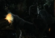Acceraptor | Terra Nova Wiki | Fandom