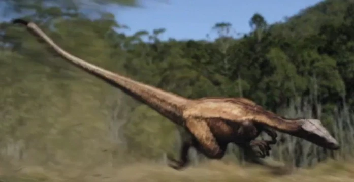 Nykoraptor | Wiki Terranova | Fandom